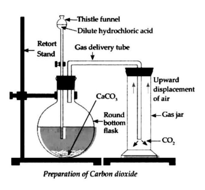 Class 10 Science Lesson 16 – Your Notes Partner