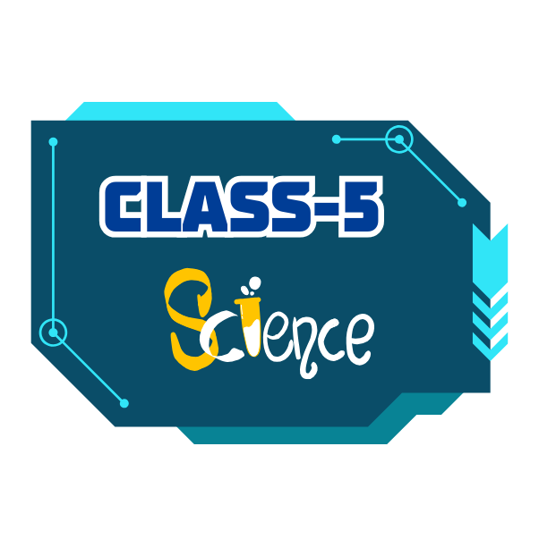 Class 5 Science Notes – Your Notes Partner